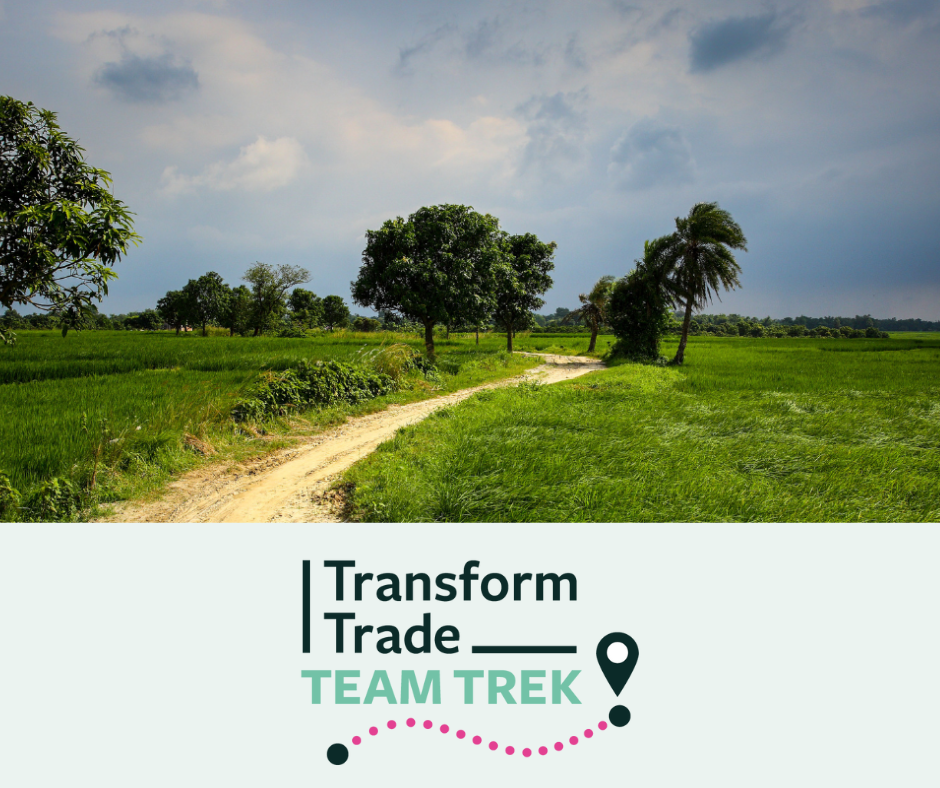 Team Trek Questionnaire | Transform Trade